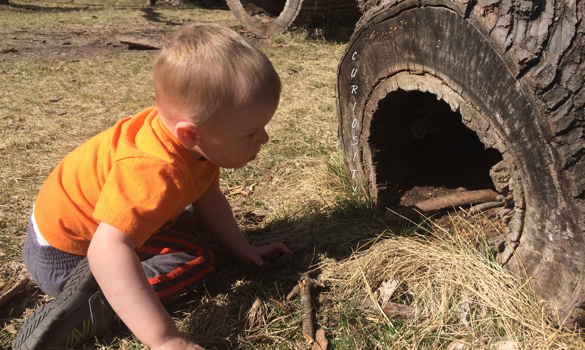 cropped-Curiousity.png – Tiny Lake Productions, LLC